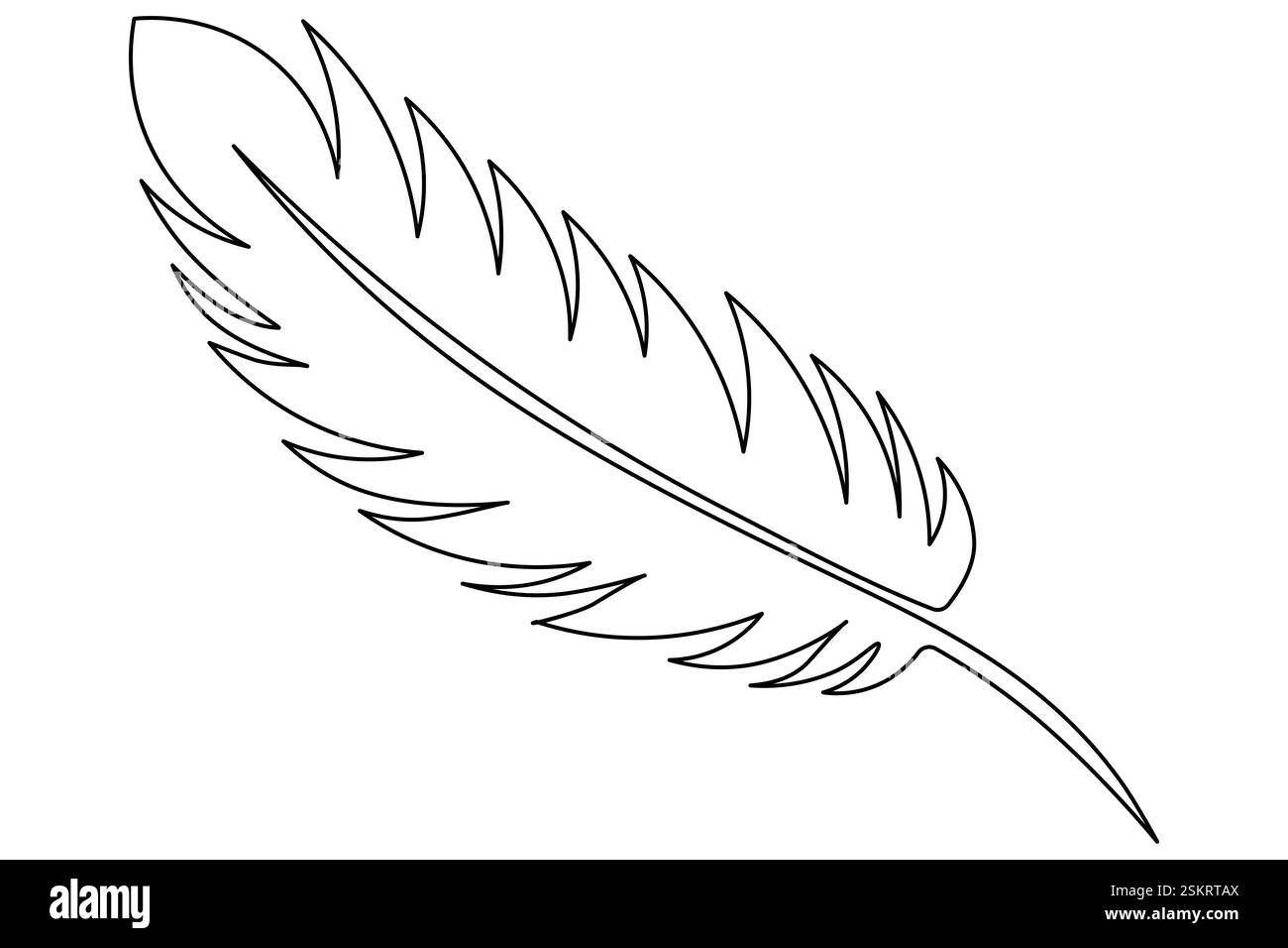 Continuous bird feather one line drawing of feather isolated outline ...