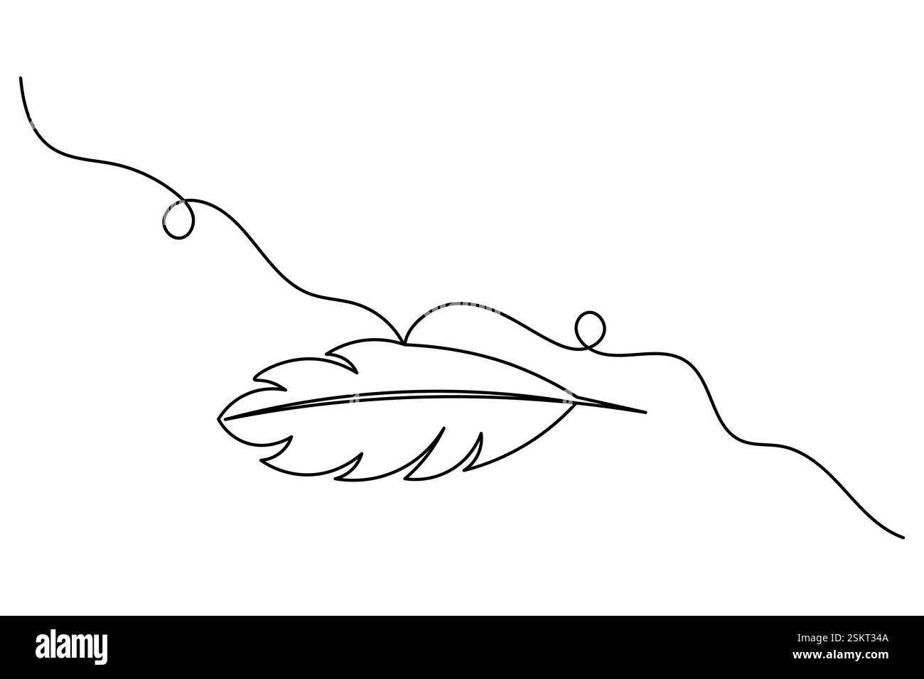 Continuous bird feather one line drawing of feather isolated outline ...