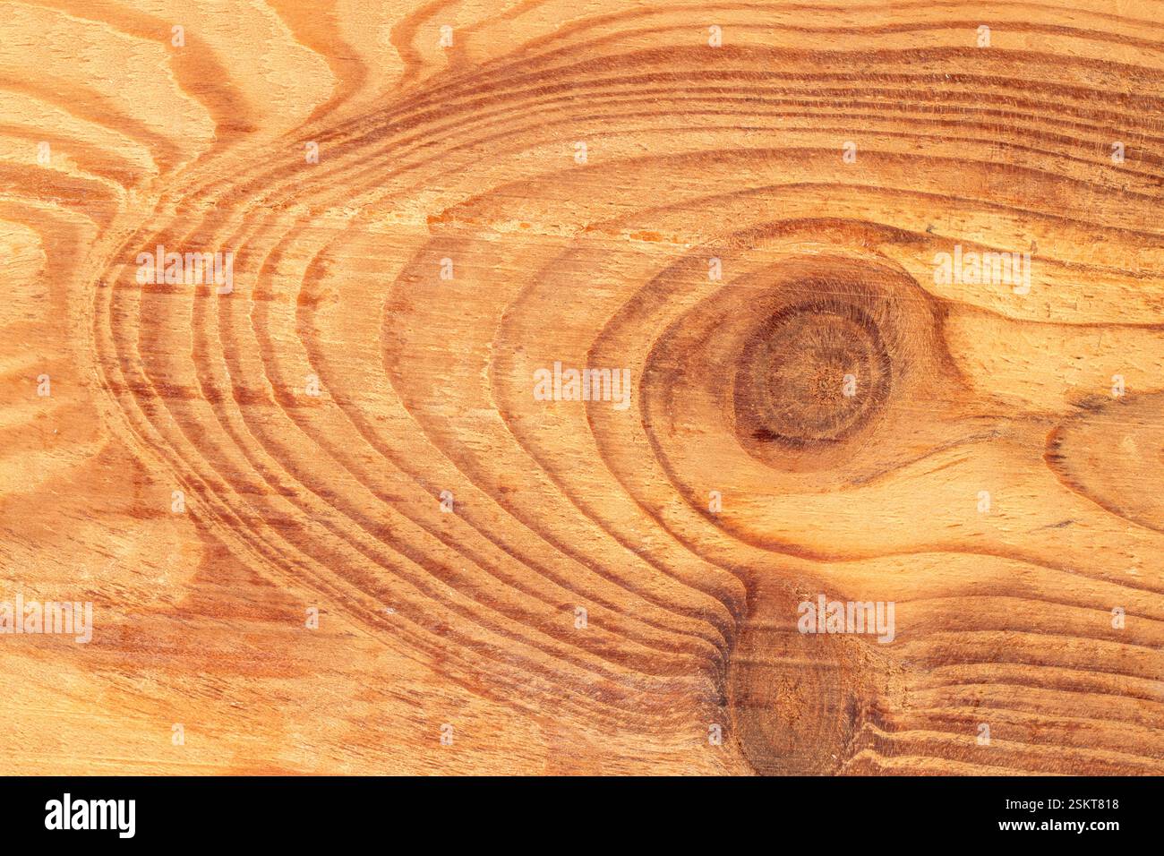 The structure of natural wood sawn into boards, macro, top view Stock ...