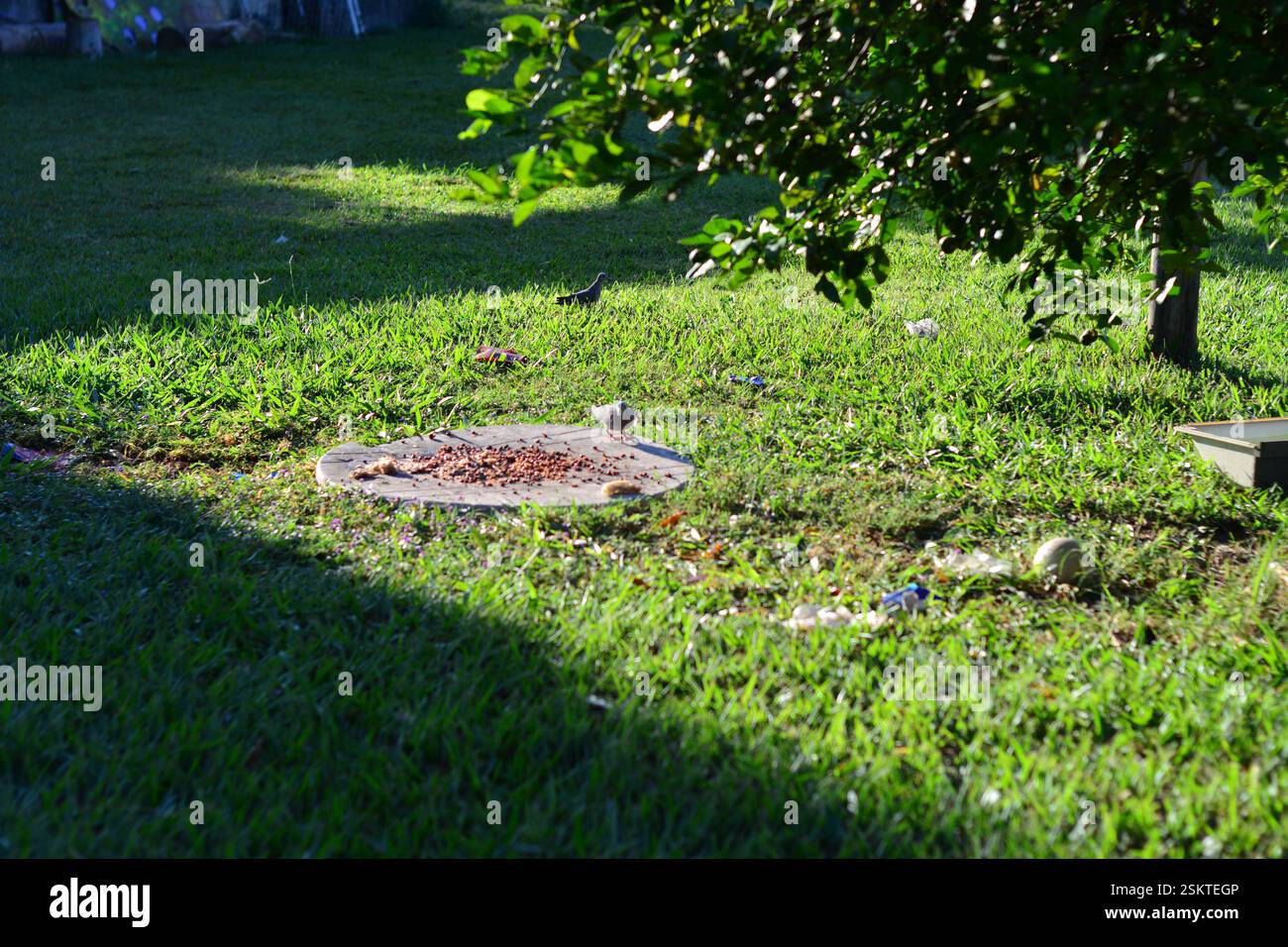 Leftover grass hi-res stock photography and images - Alamy