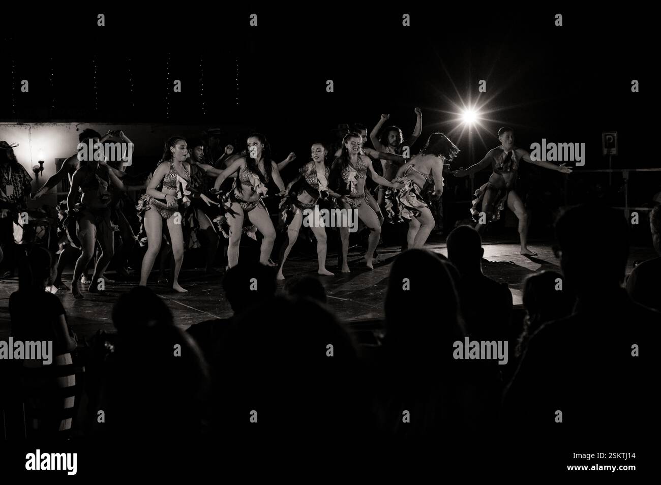 Energetic group of dancers bring vibrant latin rhythms to the Festas ...