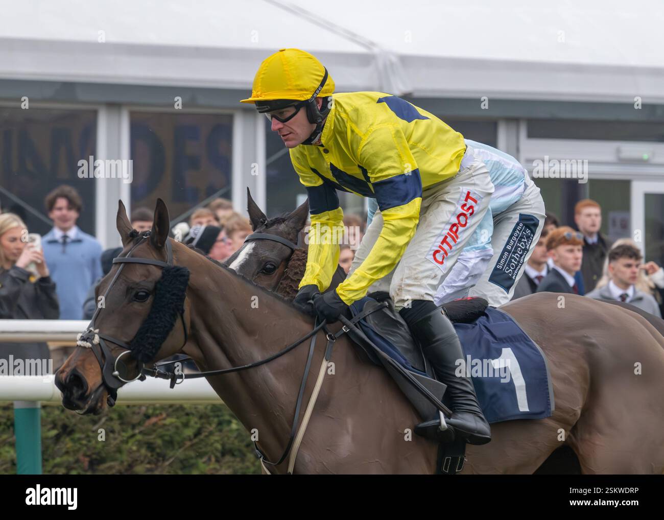 Monbeg Genius wins the Lisa Mitten Turns 60 Handicap Chase at Uttoxeter ...