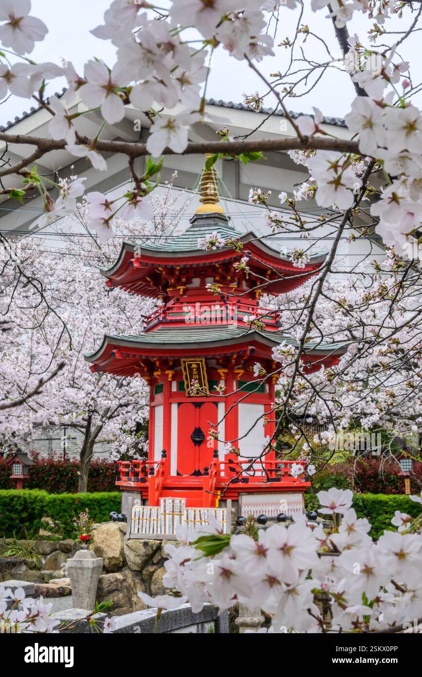 Kiyujima Benzaiten - Red Pagoda Amidst Cherry Blossoms near Shitenno-ji ...