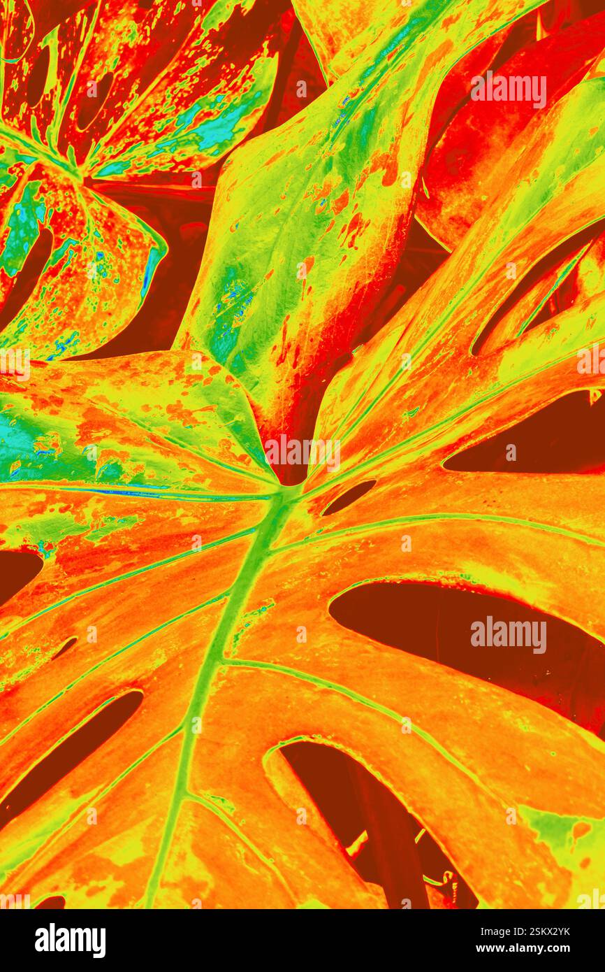 Tropical background in neon colors. Bright, saturated colors of ...