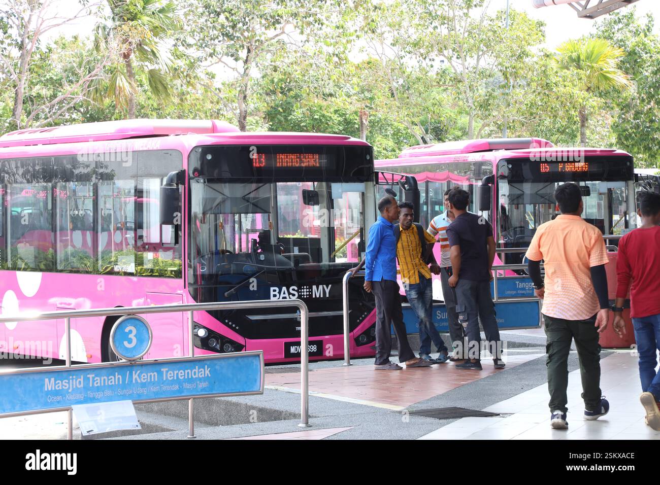 Pink local buses at Melaka Sentral public transport terminal, Melaka ...