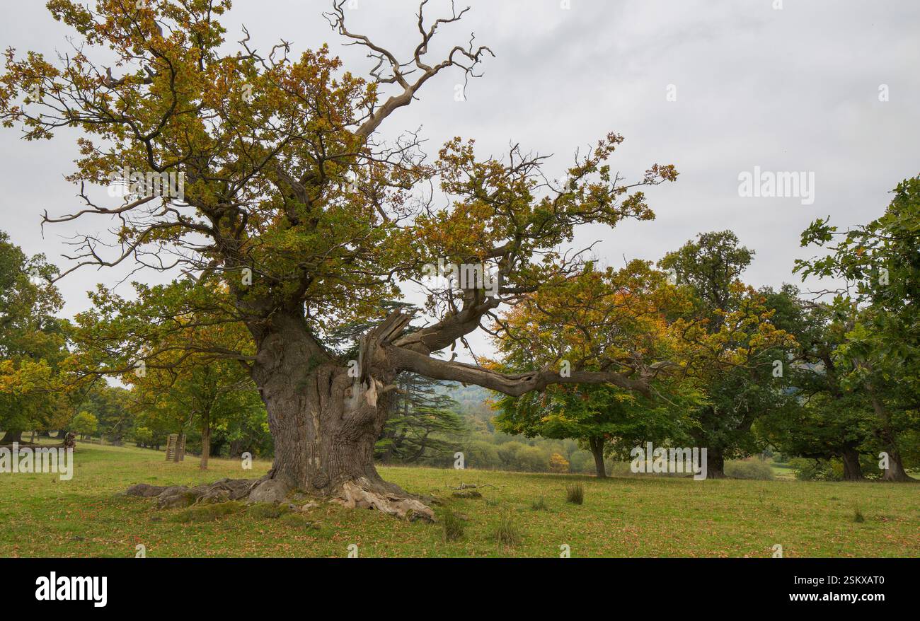 Herefordshire national park hi-res stock photography and images - Alamy