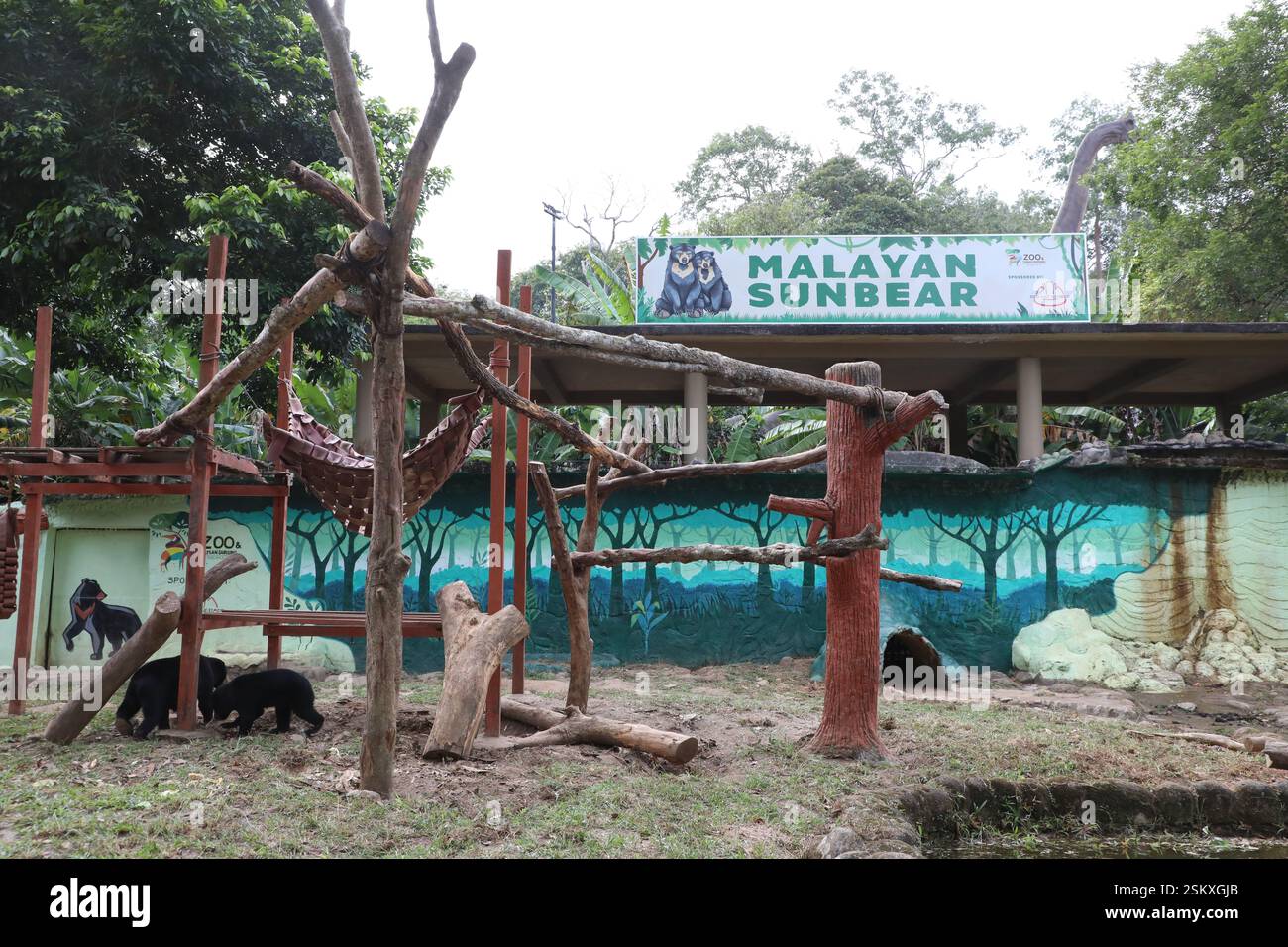 Malayan Sunbear (Helarctos malayanus) at Melaka Zoo, Malaysia Stock ...