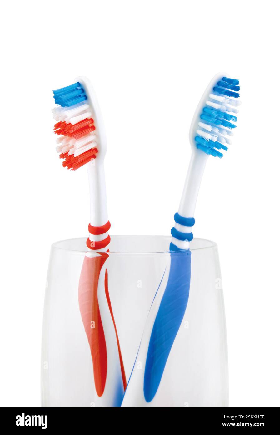 Colorful red and blue toothbrushes in white transparent glass, large ...