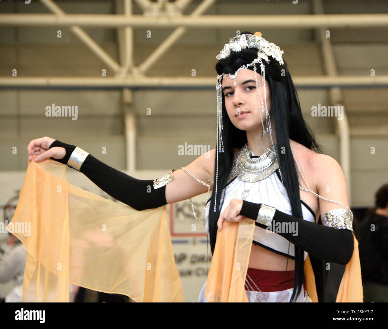 Italy : Nerd Show 2025,event in Bologna,February 1,2025 Stock Photo - Alamy