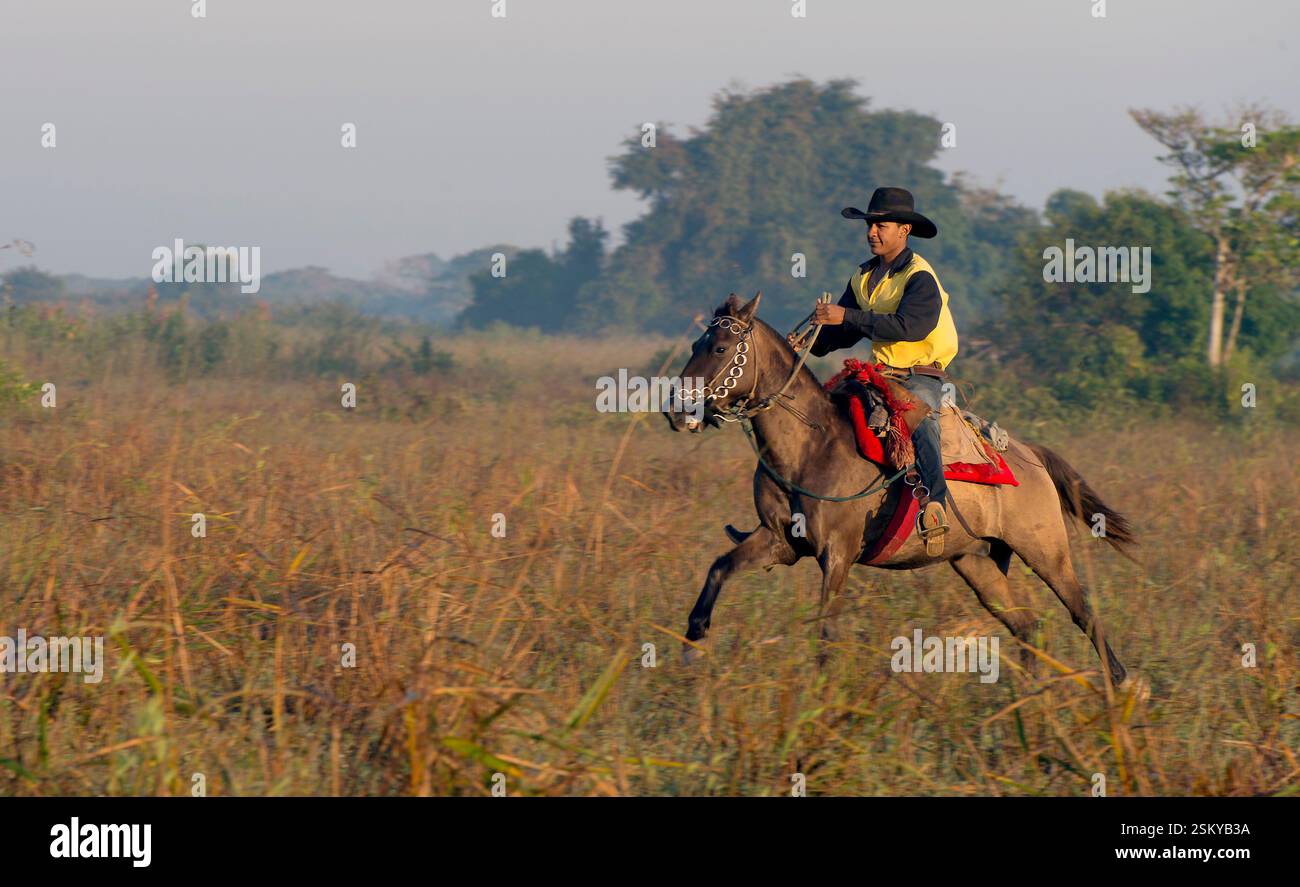 Brazilian gaucho on the horseback. Araras, Pantanal Stock Photo - Alamy