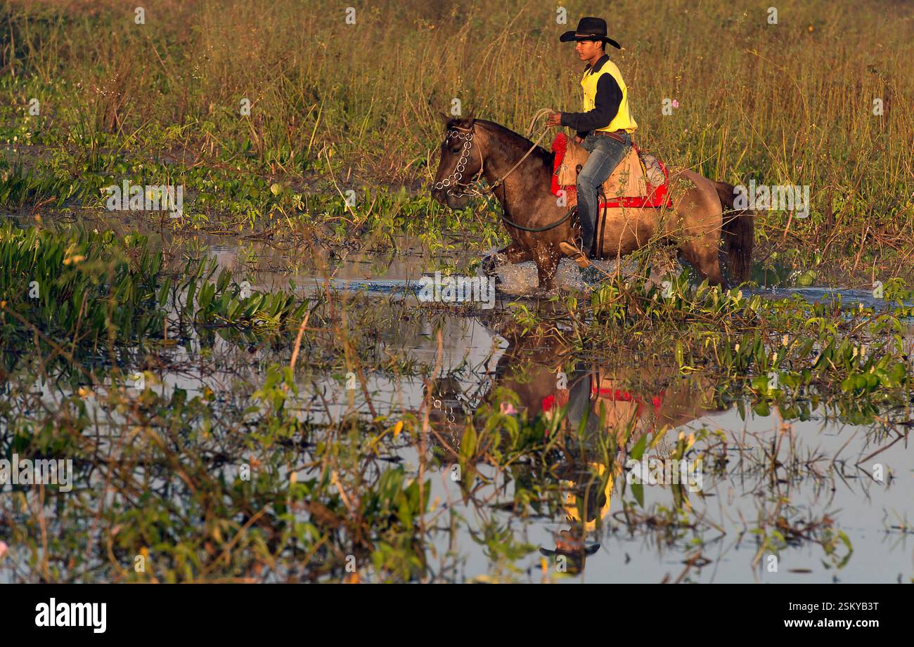 Brazilian gaucho on the horseback. Araras, Pantanal Stock Photo - Alamy