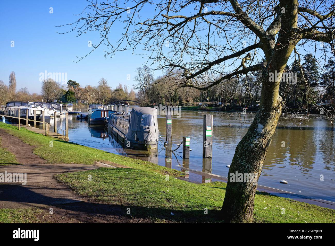 The riverside and River Thames at Shepperton on a sunny winters day ...