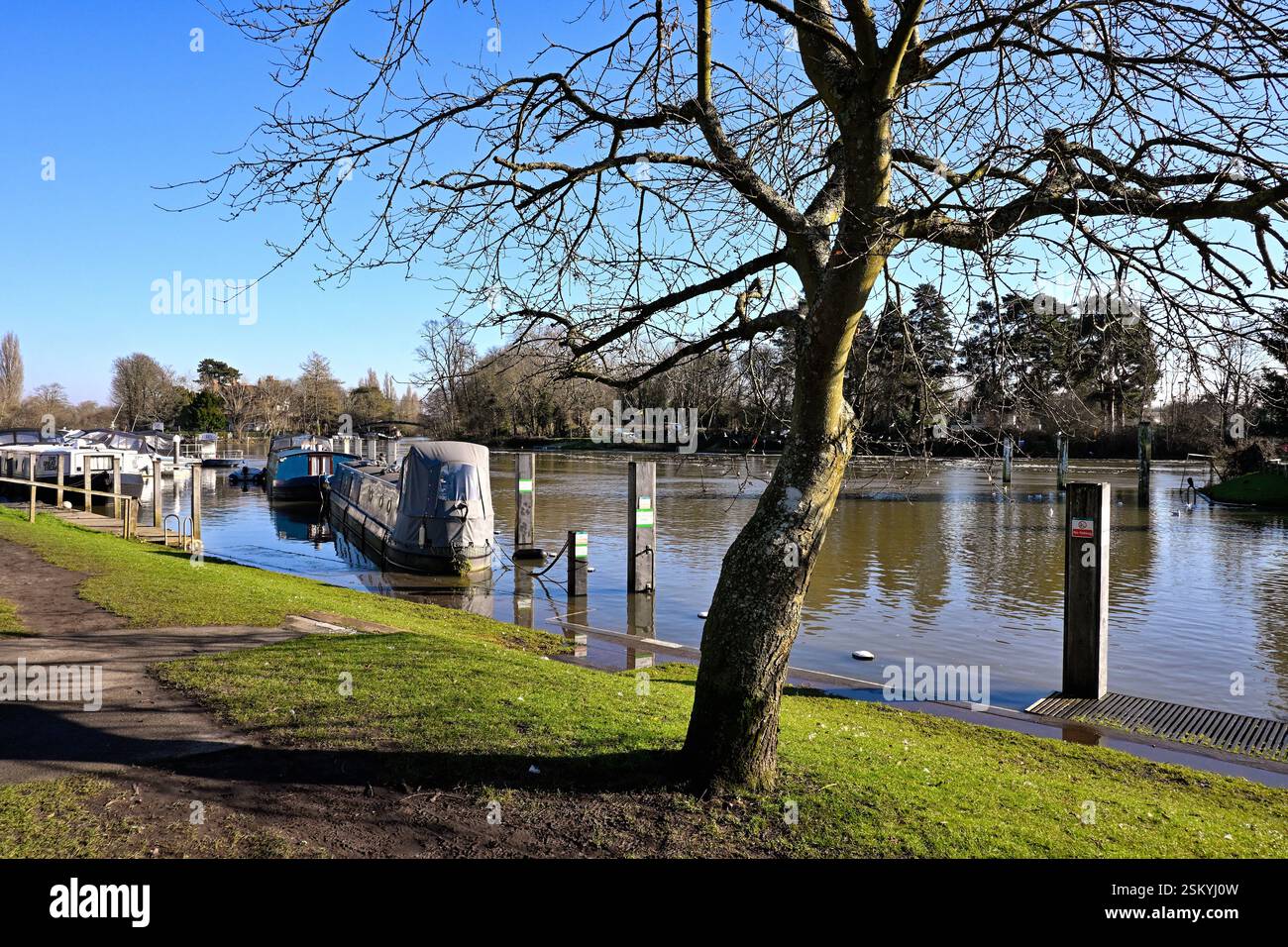 The riverside and River Thames at Shepperton on a sunny winters day ...