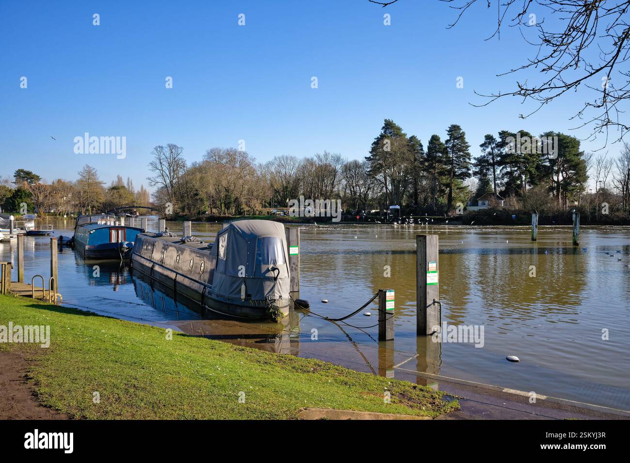 The riverside and River Thames at Shepperton on a sunny winters day ...