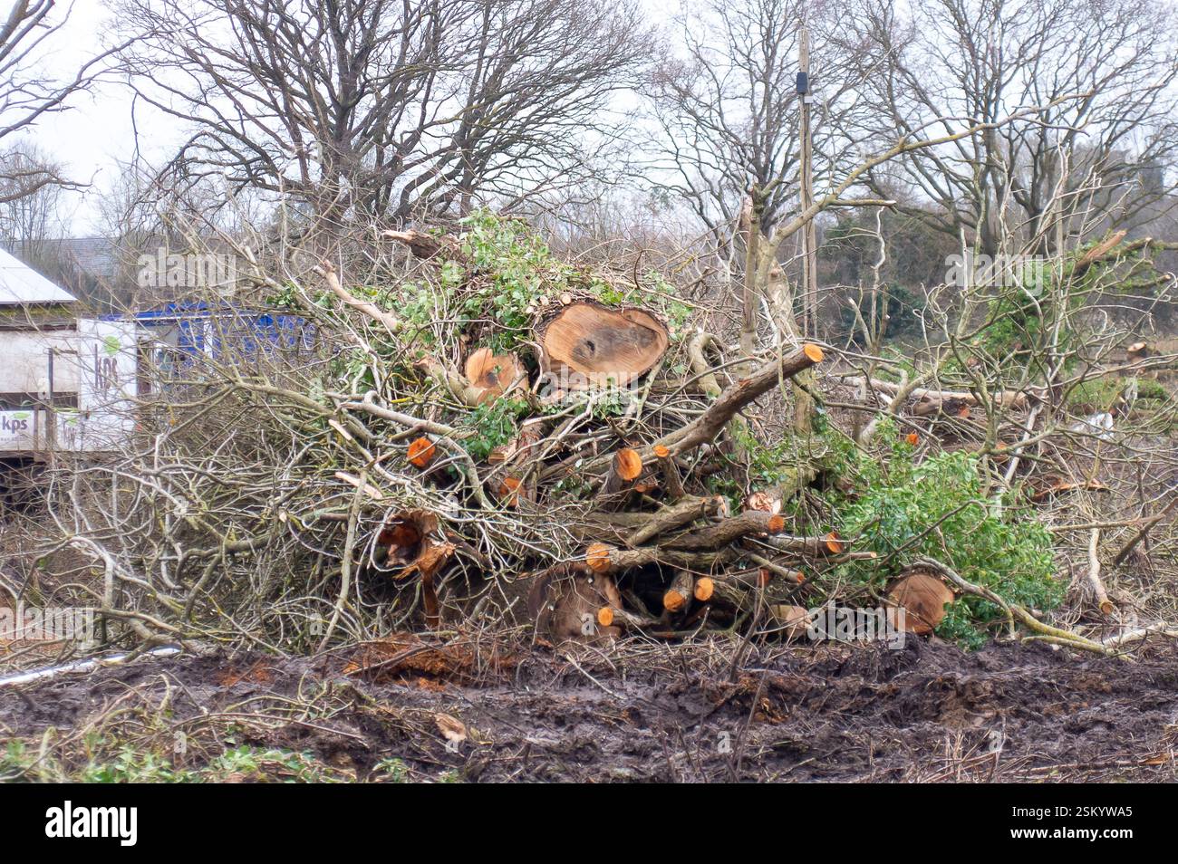 Vistry thames valley hi-res stock photography and images - Alamy