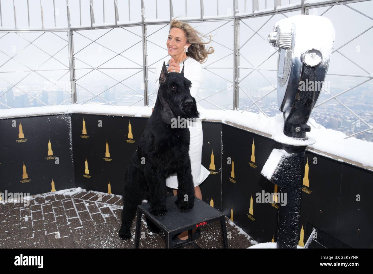 New York, USA. 12th Feb, 2025. Monty the Giant Schnauzer, Westminster ...