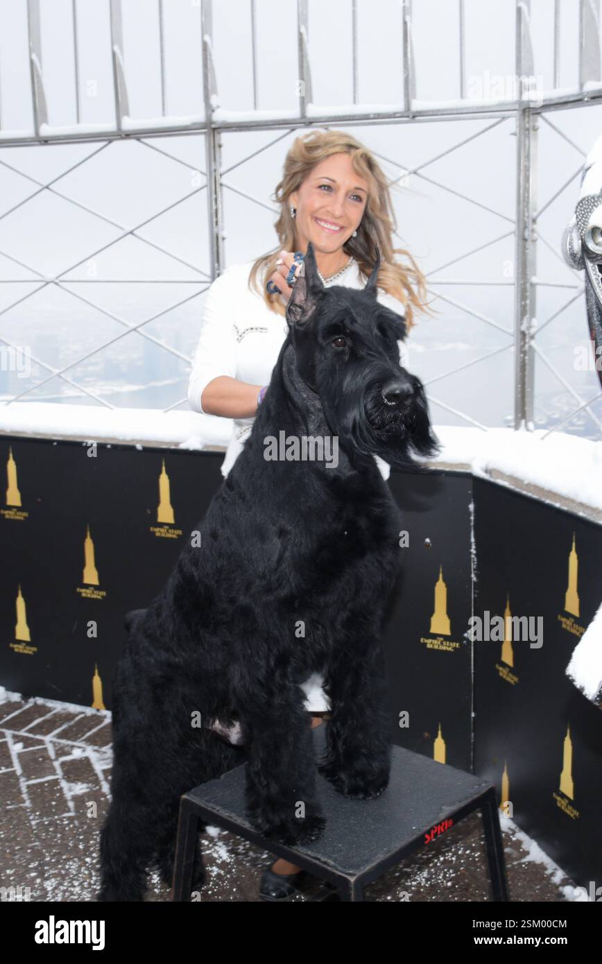 New York, USA. 12th Feb, 2025. Monty the Giant Schnauzer, Westminster ...