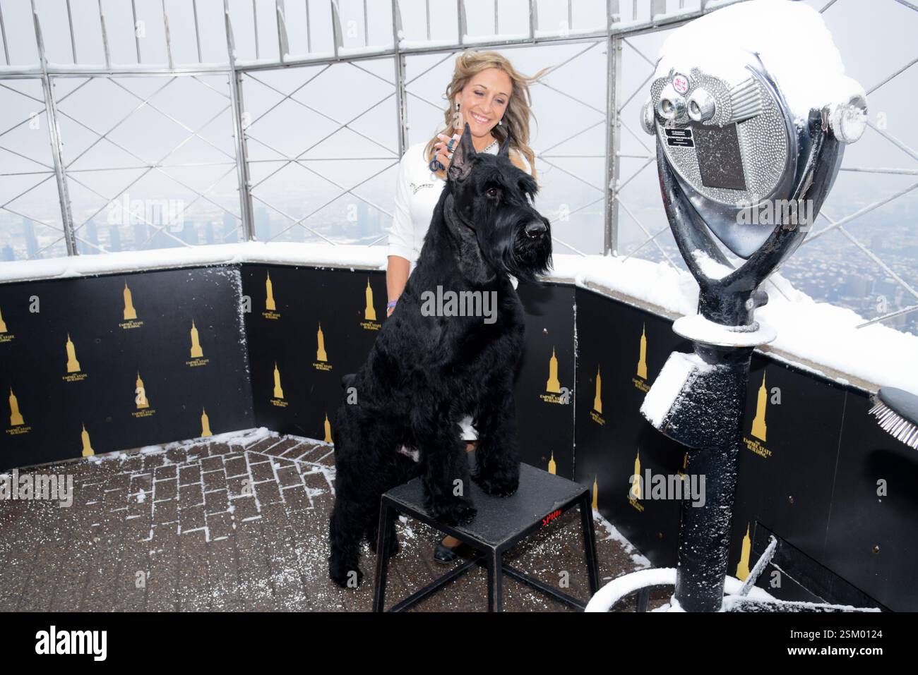 New York, USA. 12th Feb, 2025. Monty the Giant Schnauzer, Westminster ...