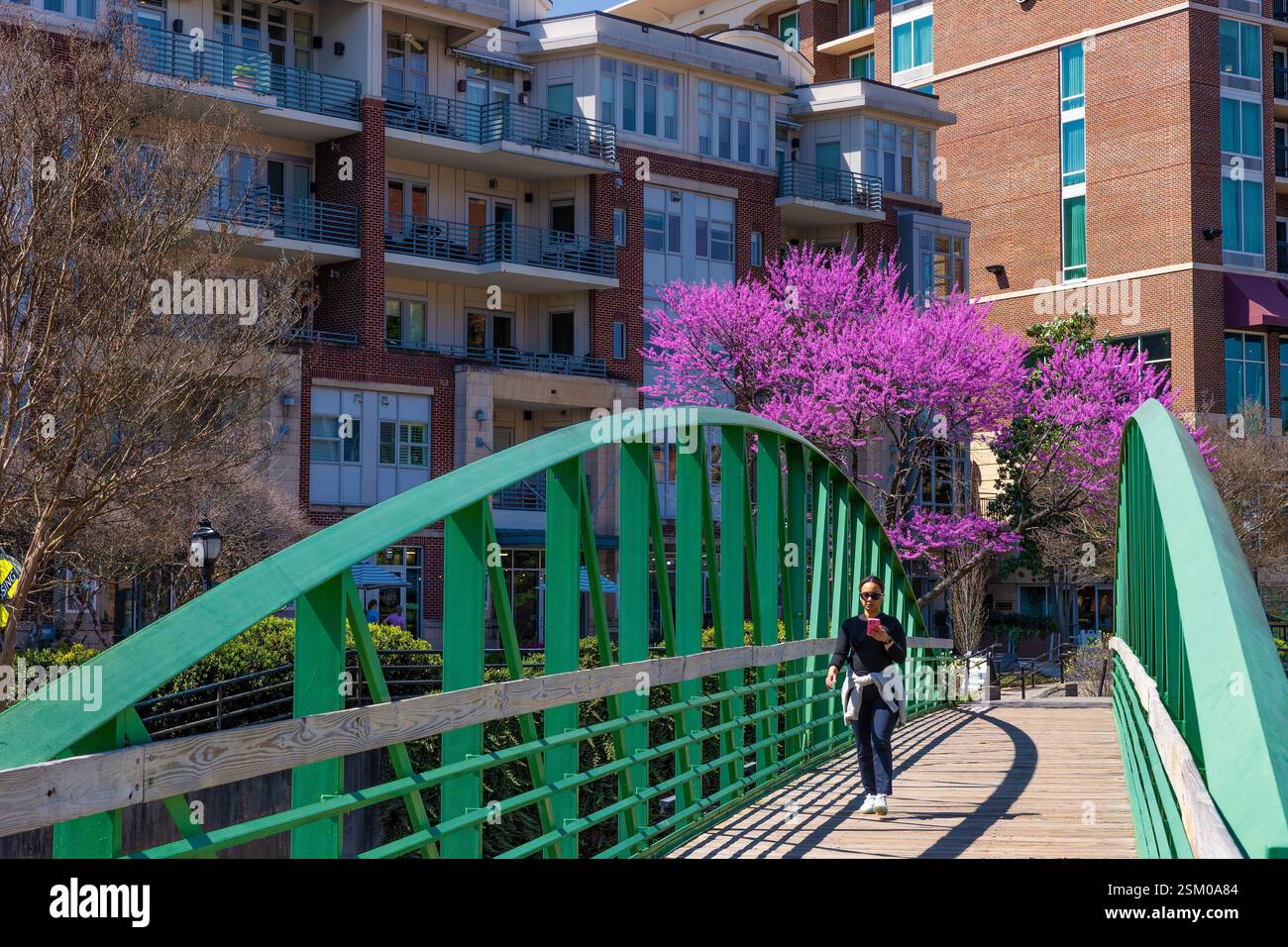 Greenville, South Carolina, USA - March 21, 2024: Sunny spring day at ...