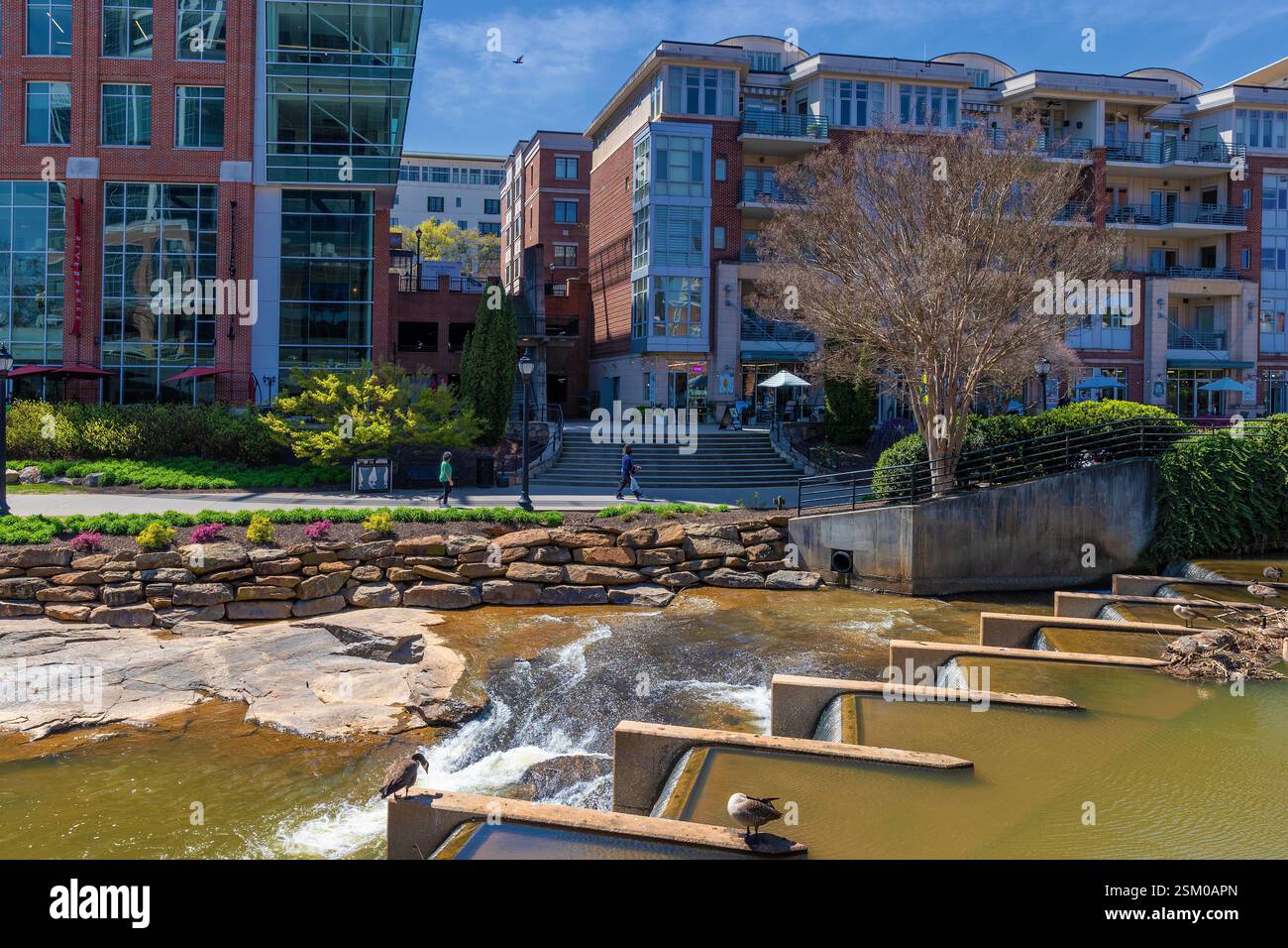 Greenville, South Carolina, USA - March 21, 2024: Sunny spring day at Falls park in downtown ...