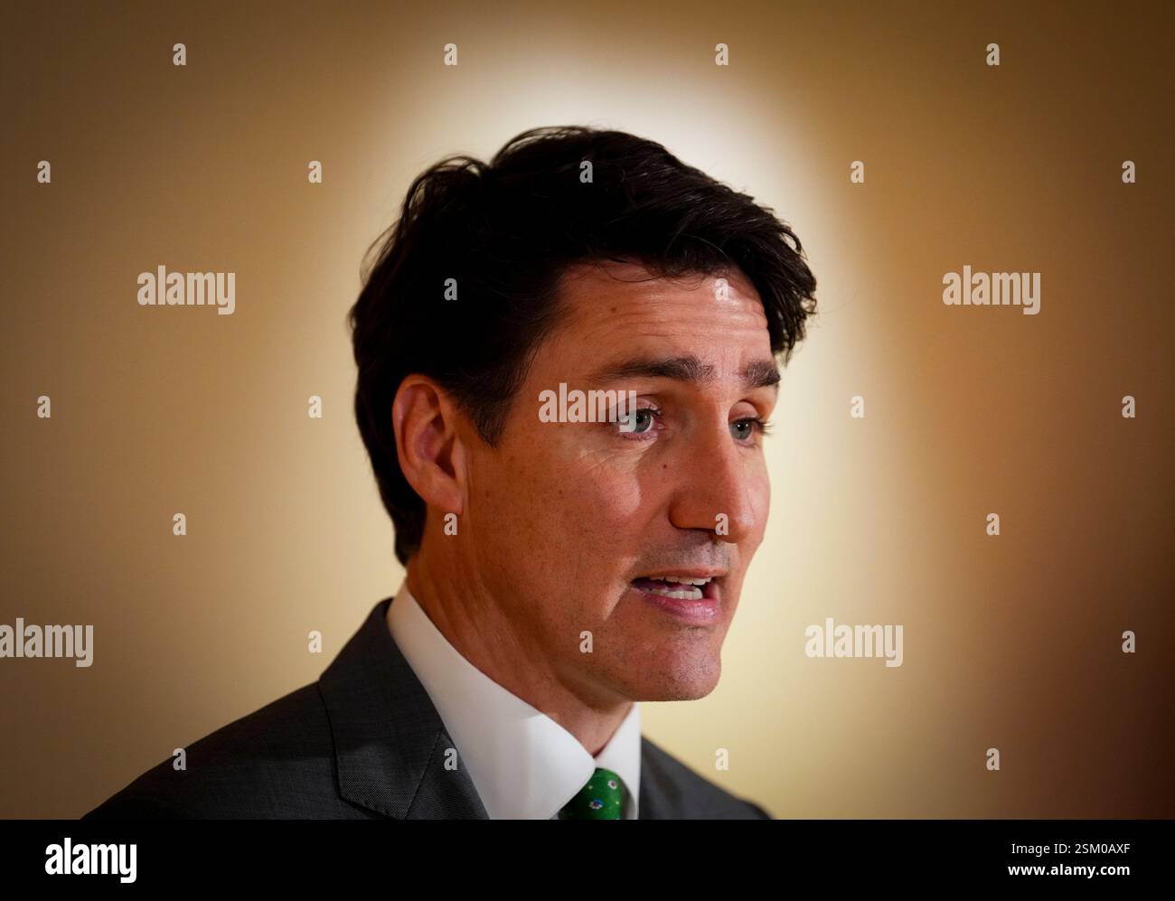 Canada Prime Minister Justin Trudeau holds a press conference at the ...