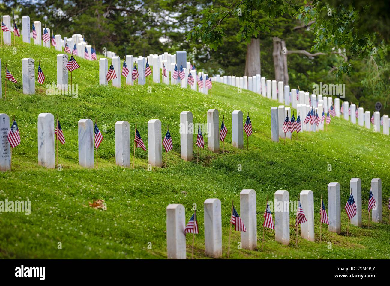 Greenville, Tennessee, USA - May, 25, 2024: American flags placed in ...