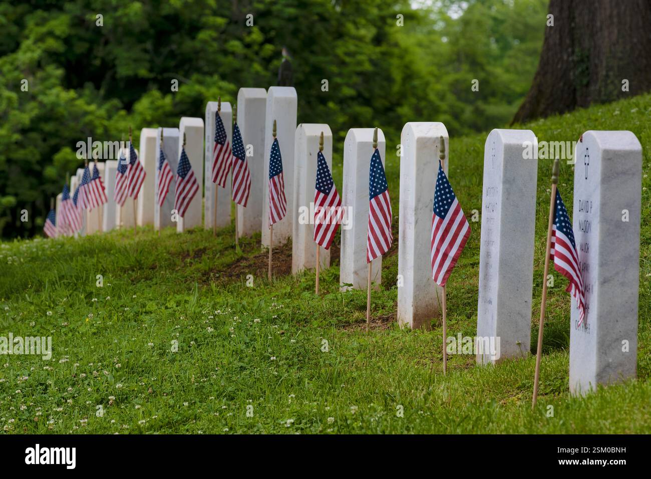 Greenville, Tennessee, USA - May, 25, 2024: American flags placed in ...