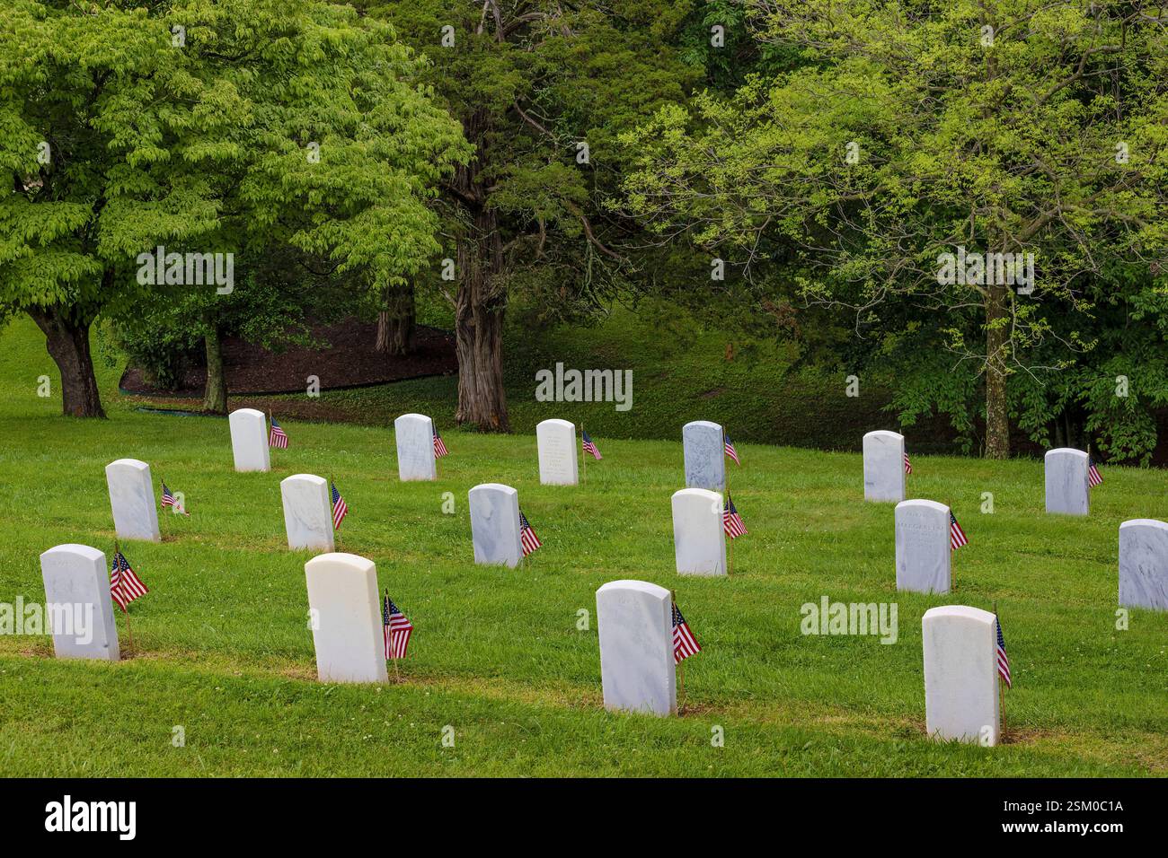 Greenville, Tennessee, USA - May, 25, 2024: American flags placed in ...