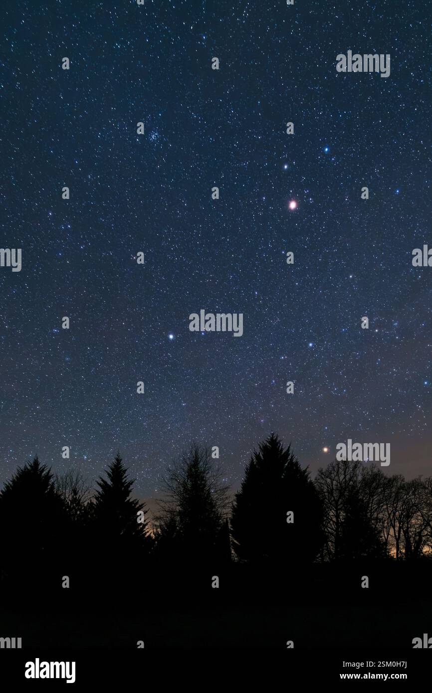 Night sky full of stars with the planet Mars and stars, Betelgeuse ...