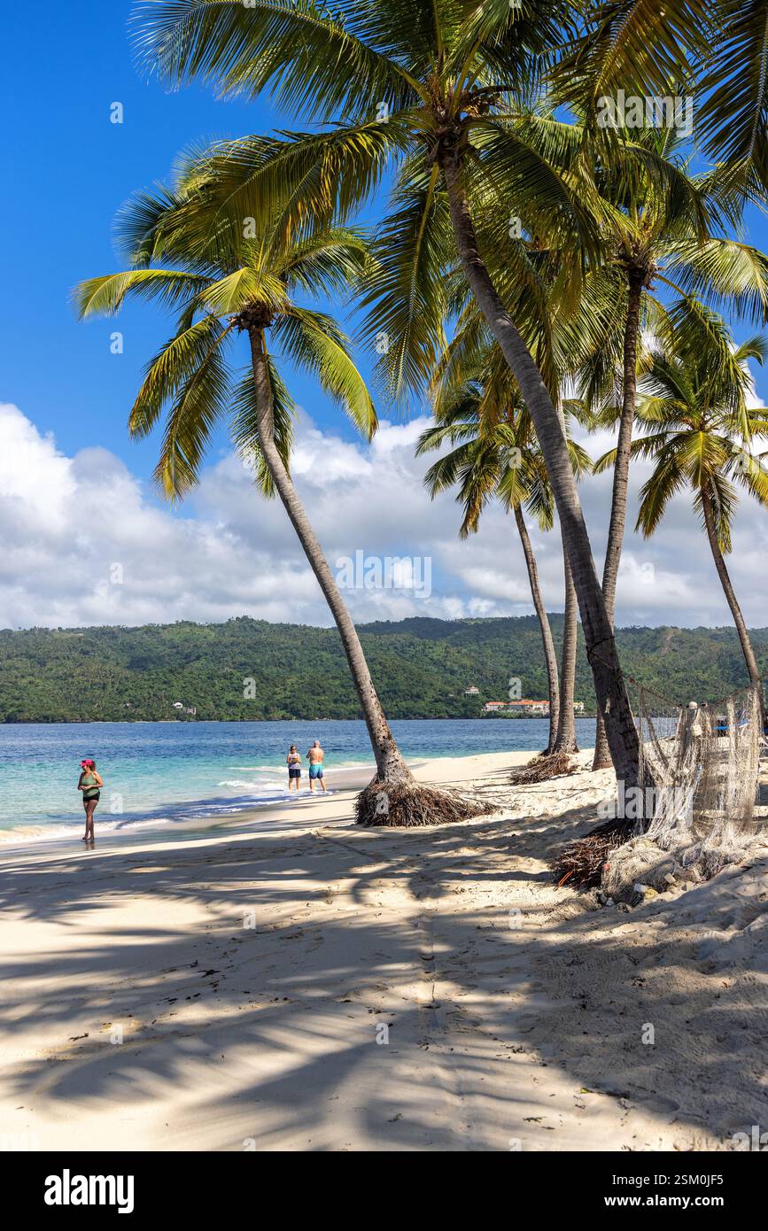Palm trees on Cayo Levantado island a tropical island in the Caribbean ...