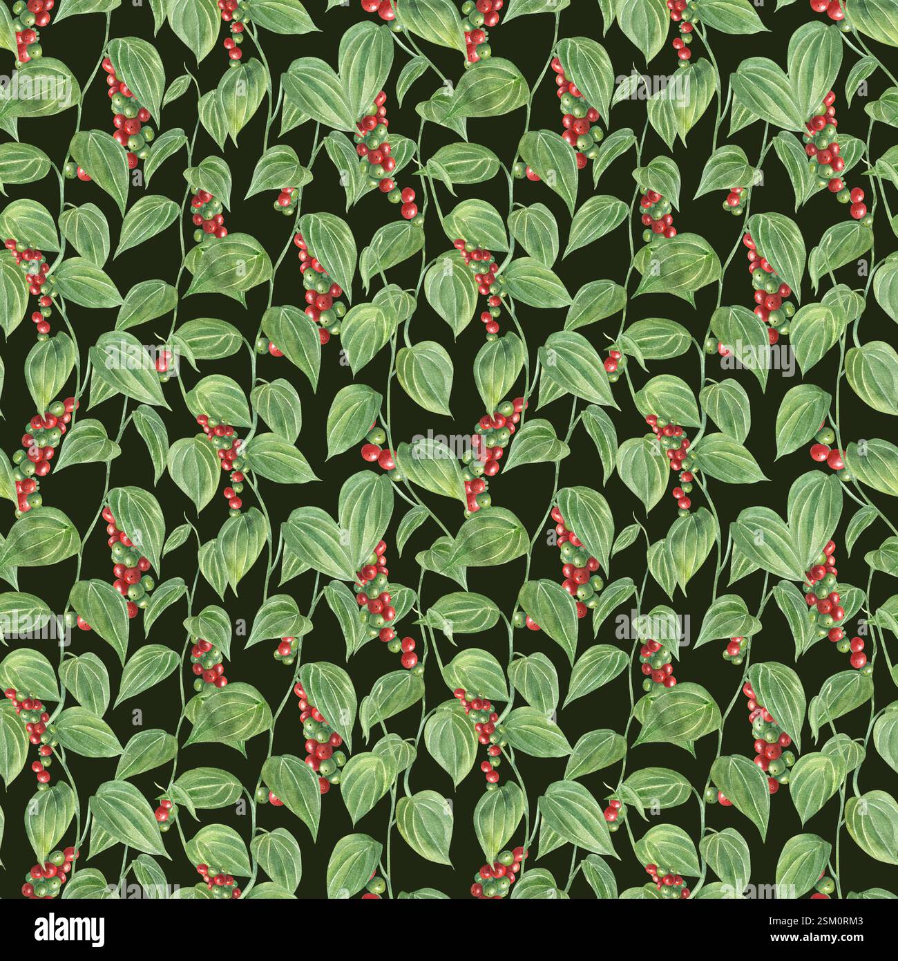 Watercolor intertwining climbing aromatic peppercorn twigs seamless ...