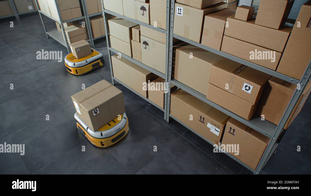 Logistics Distribution Center: Automated Guided Vehicles Transporting ...