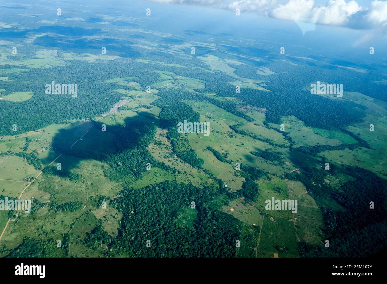 Rainforest deforestation aerial view hi-res stock photography and ...