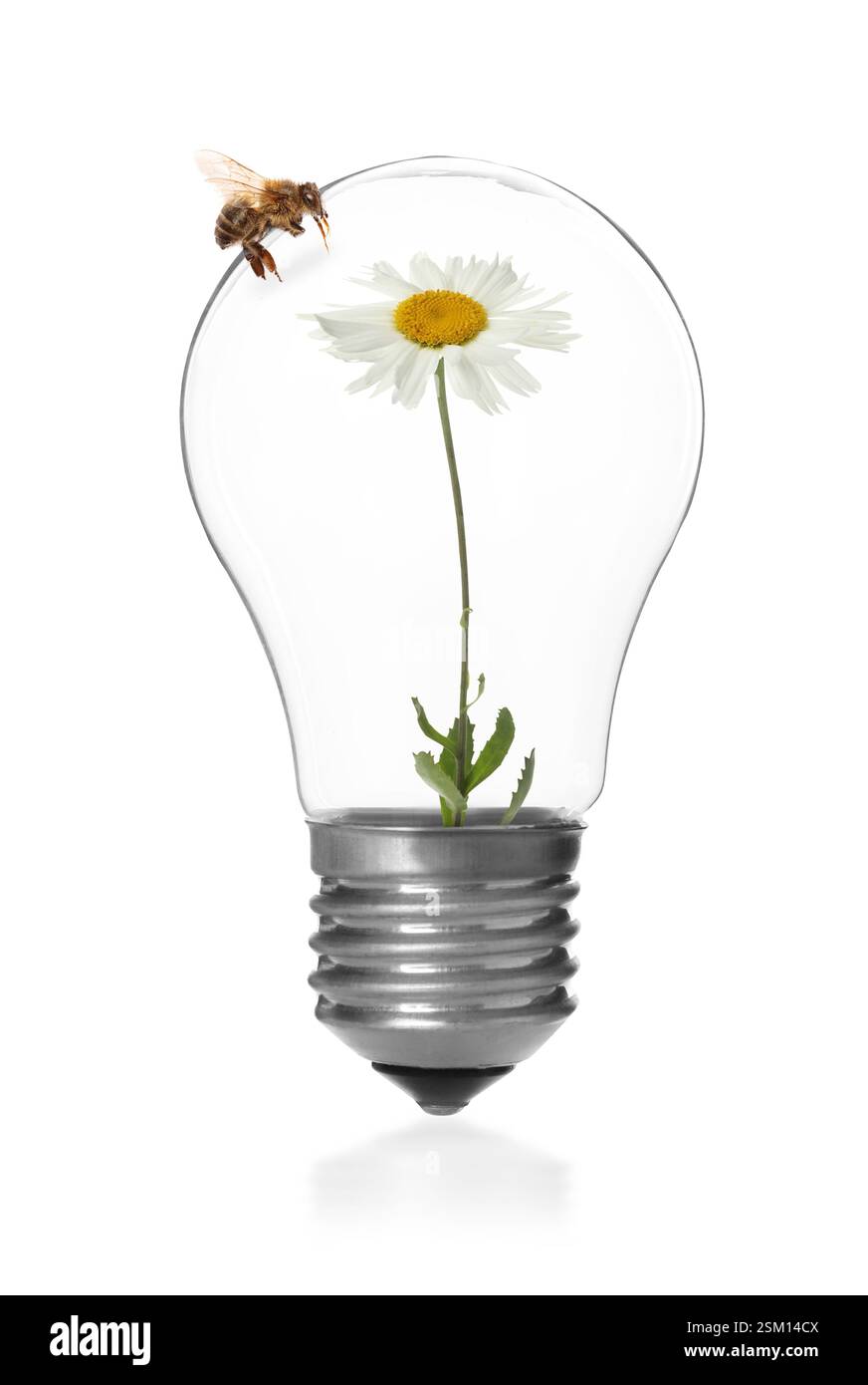 Light bulb with flower inside and bee on white background. Green energy ...