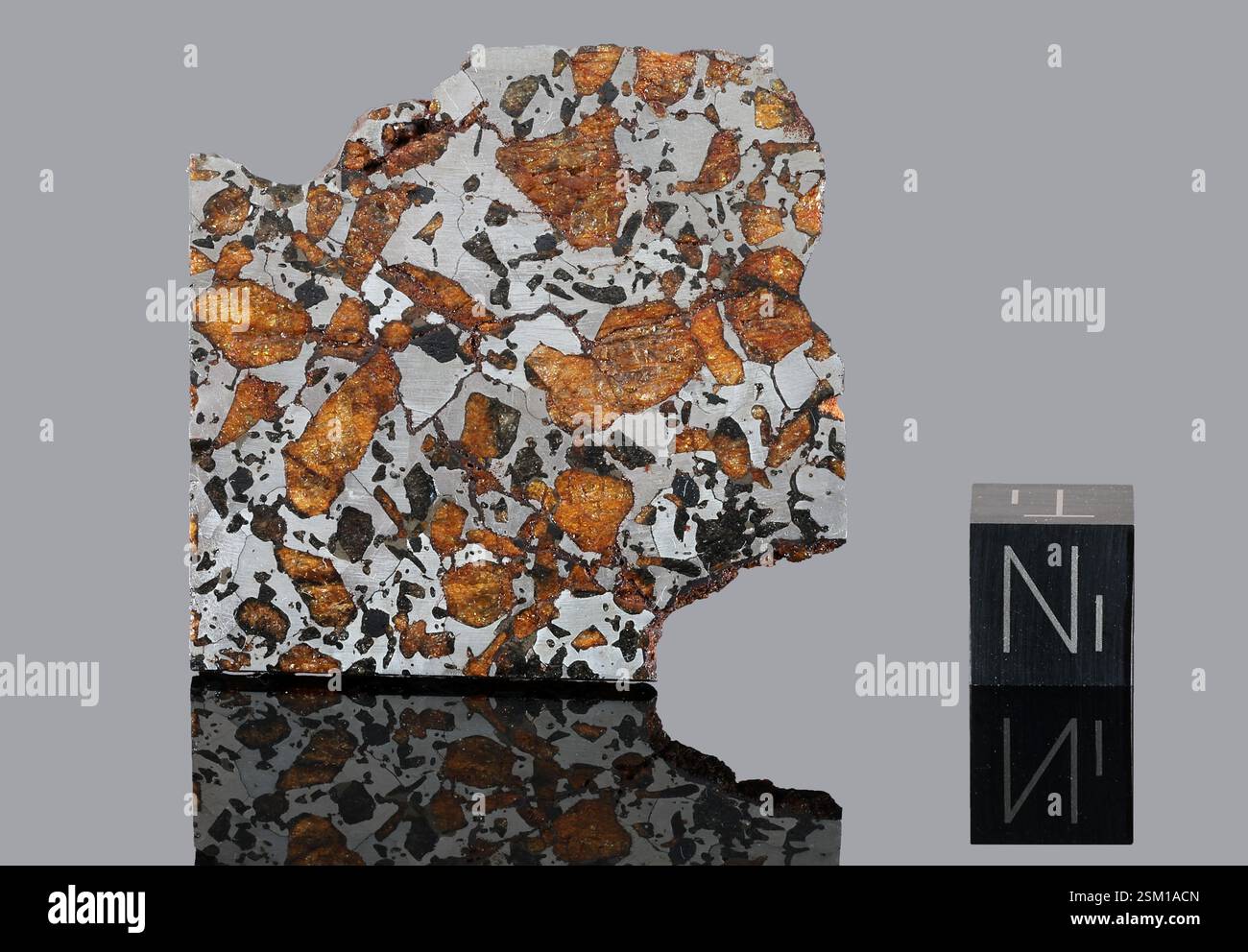 Hassi el Biod 002 - Found 2021, Ouargla, Algeria. Pallasite, ungrouped ...