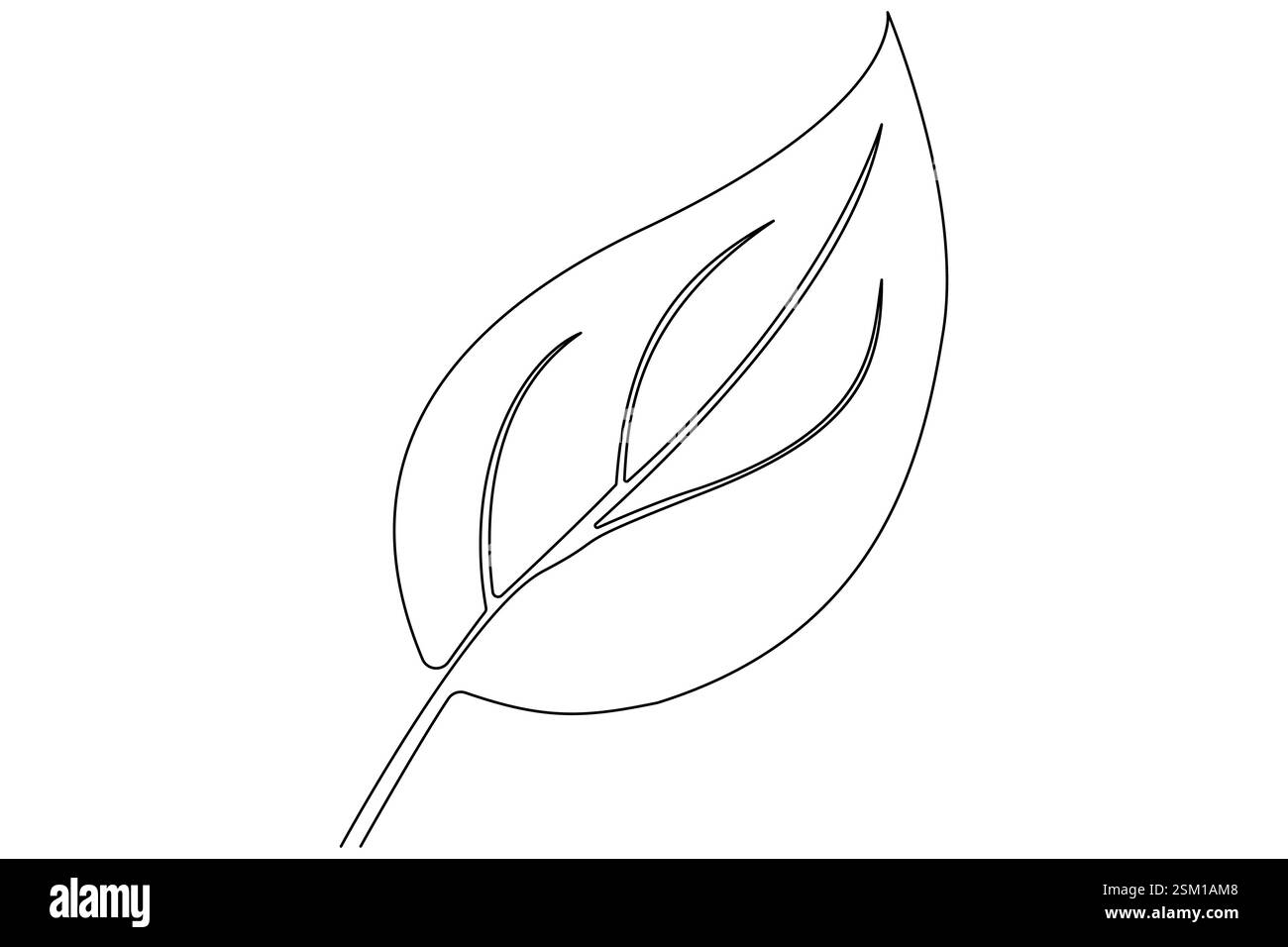 Continuous Line Drawing Of Leaf Single Line Icon outline vector ...