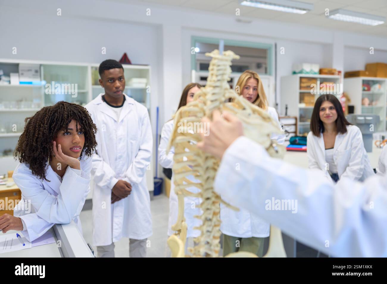 Medical students studying human skeleton anatomy in university lab ...