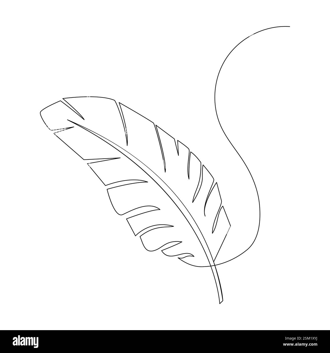 Bird feather single-line art beautifully portrays the delicate ...