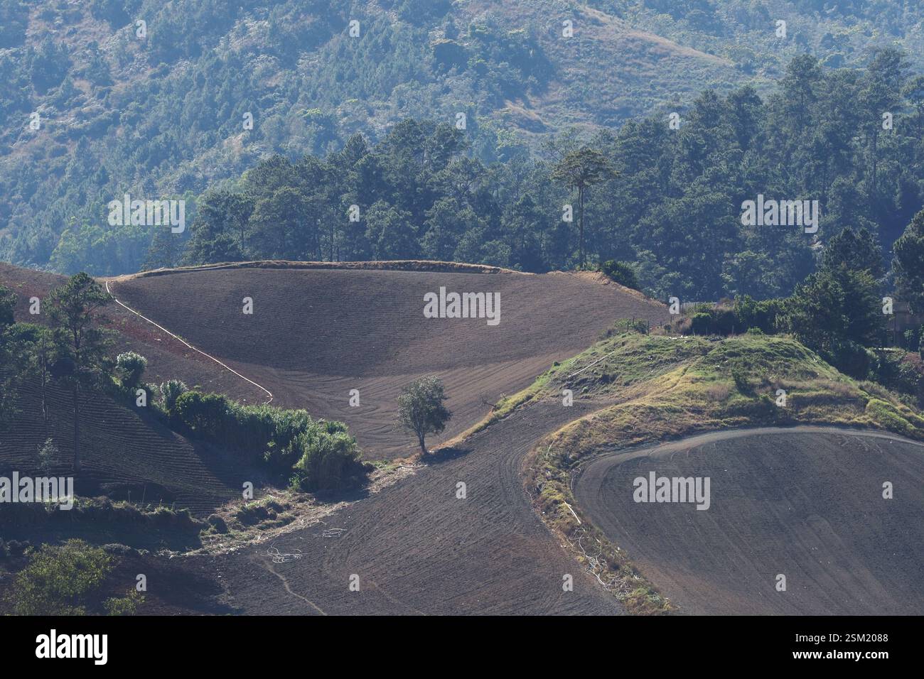 Mountainous agricultural landscape features layered farm fields with ...