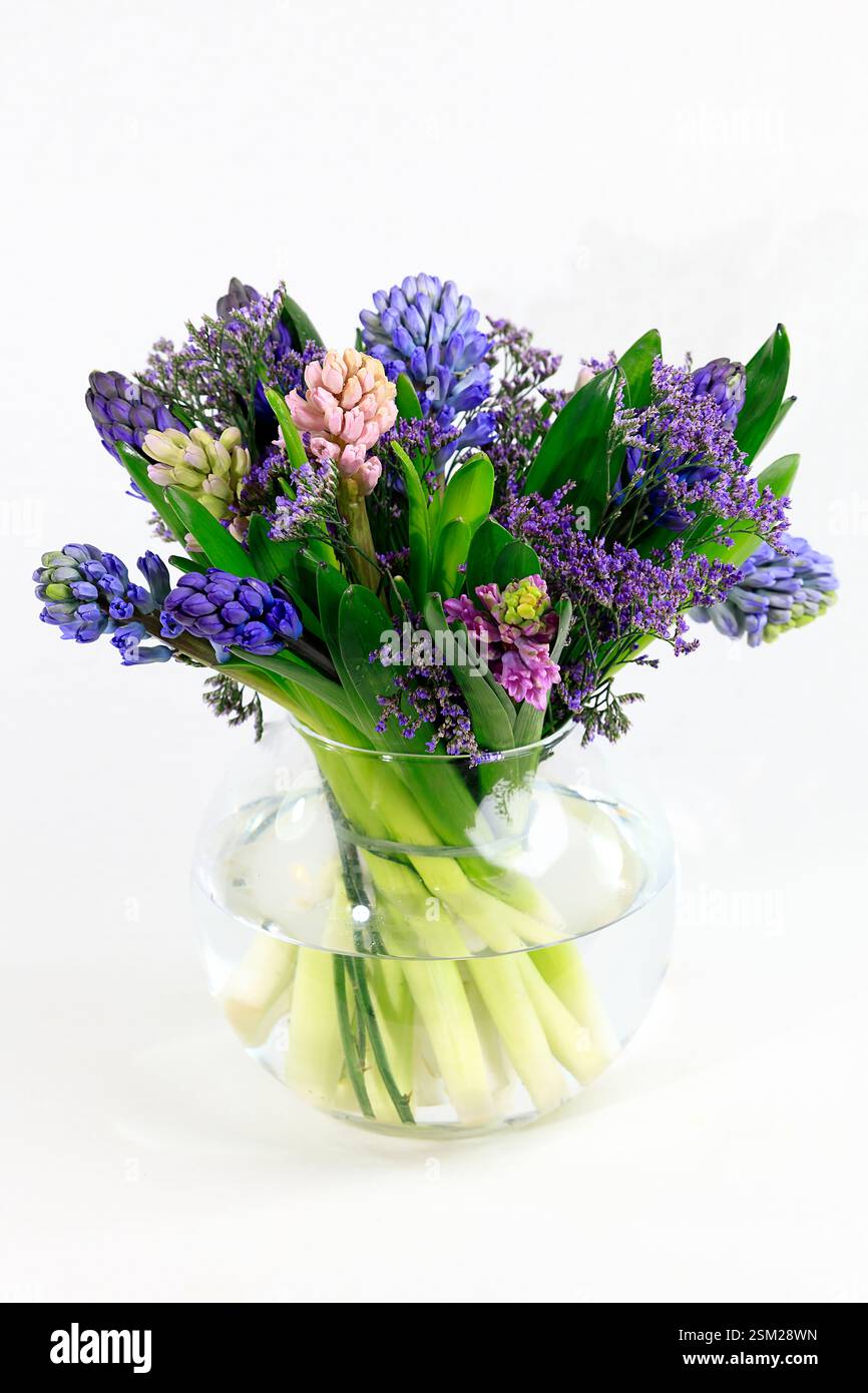 Cut flowers in home Cut Out Stock Images & Pictures - Alamy