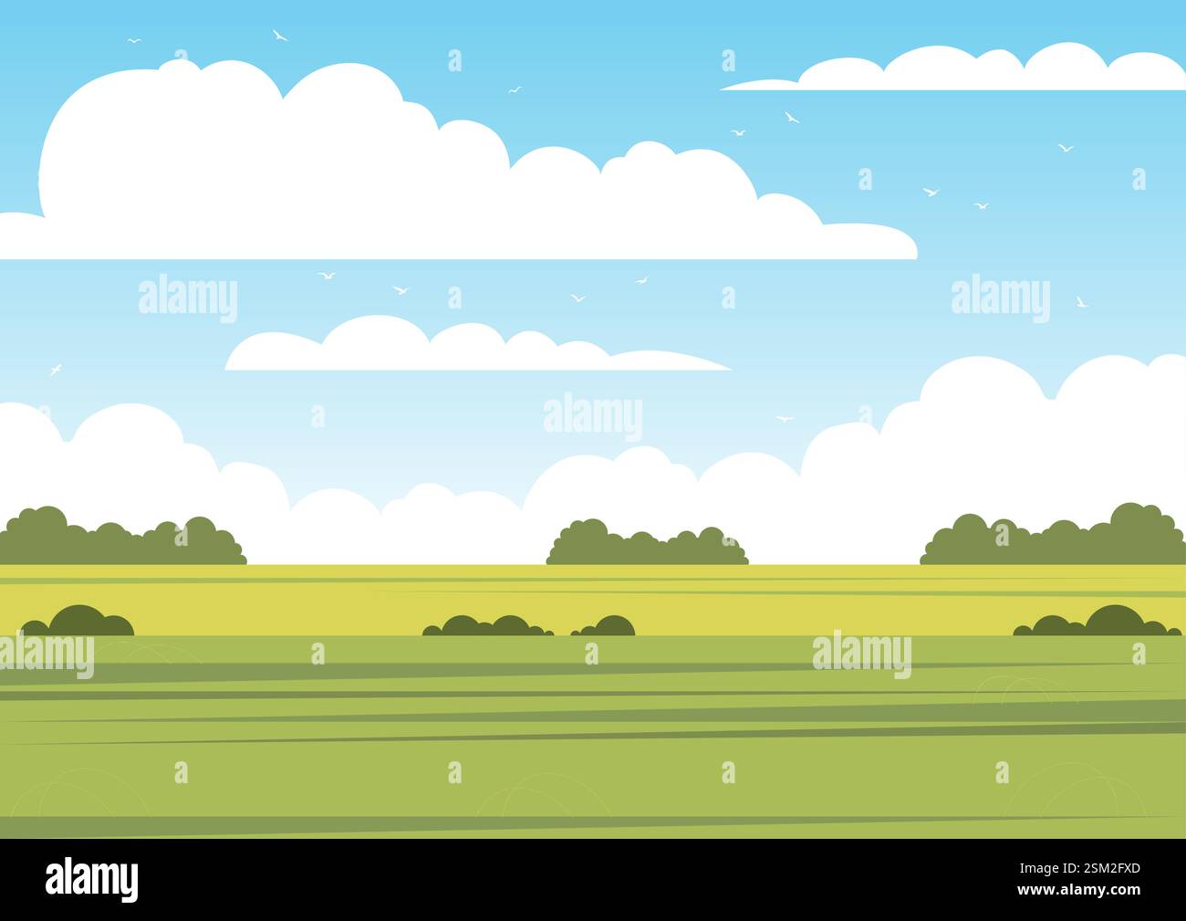 Vector illustration of beautiful summer fields landscape. Springtime ...