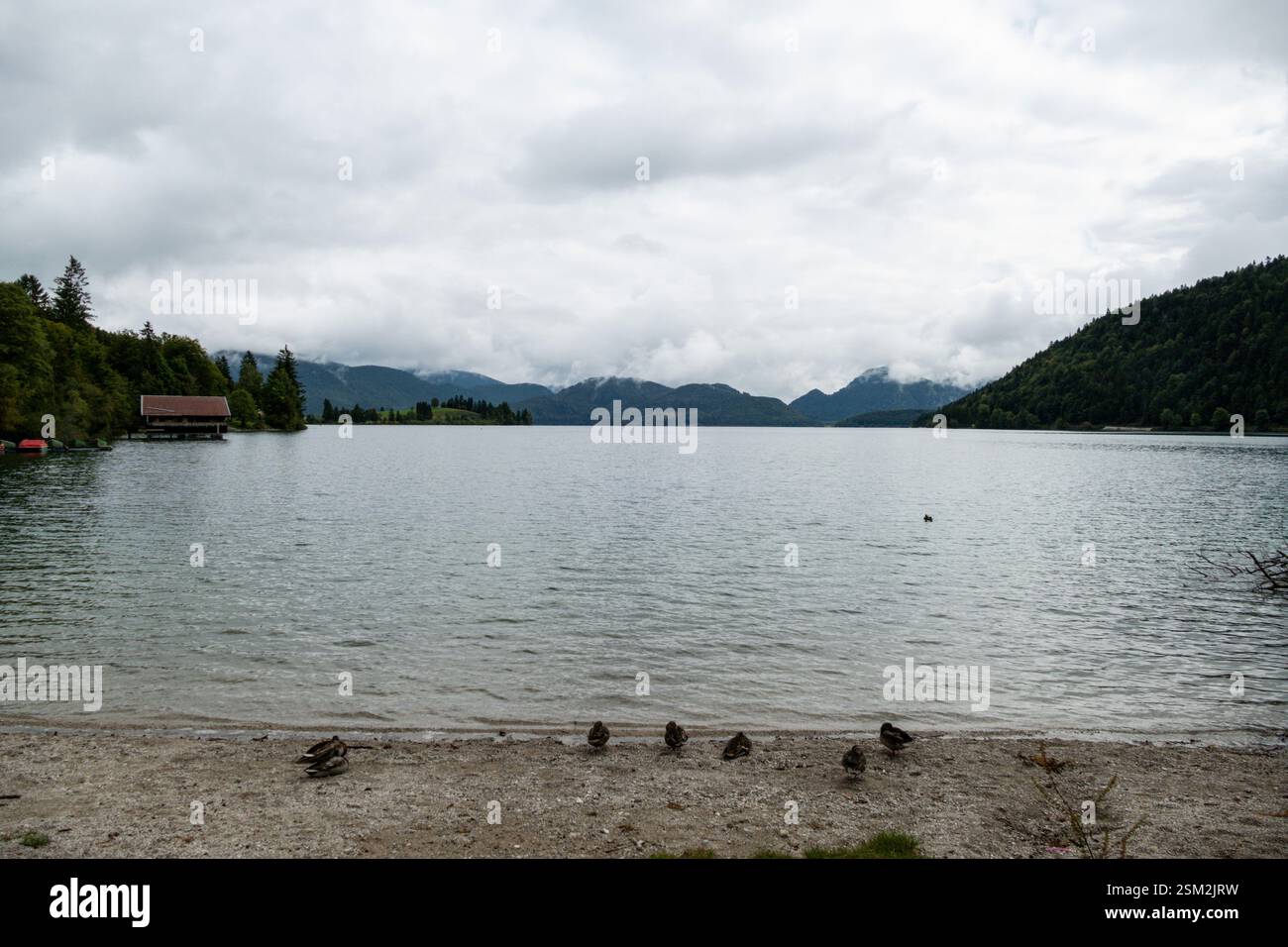 Lake Kochelsee, Kochel am See, Bavaria, Germany, at Way of St. James Isar Loisach Tiroler Ache ...