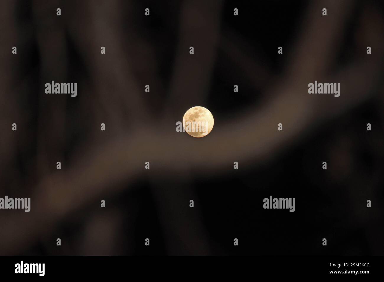 Srinagar, India. 12th Feb, 2025. The Full Snow Moon is seen over ...