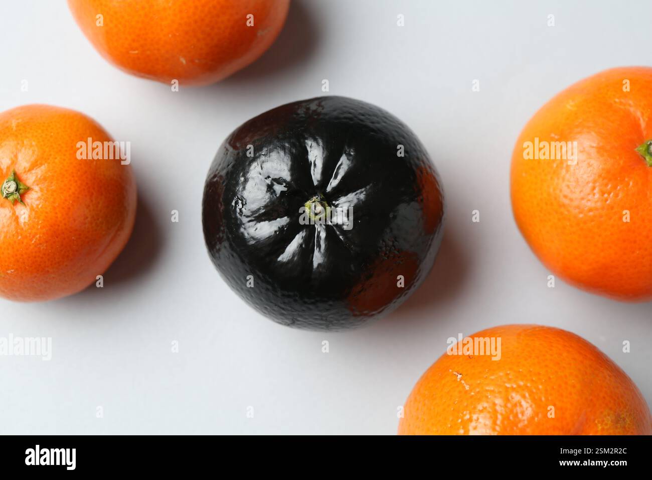 Stop racism. One black tangerine among orange ones on light background, flat lay Stock Photo - Alamy