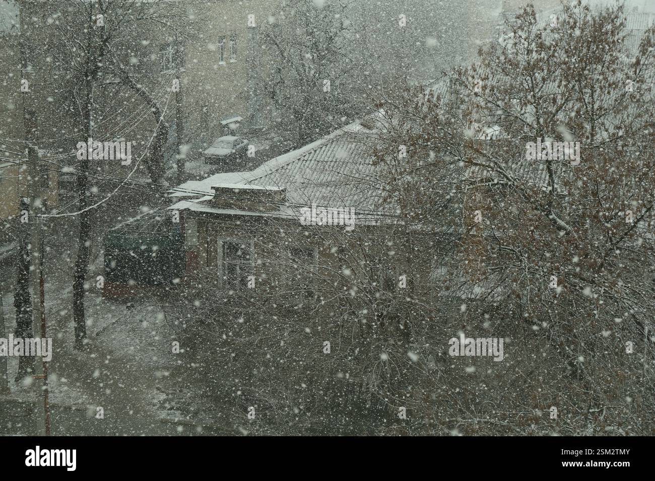 Buildings and trees under falling snow on city street Stock Photo - Alamy