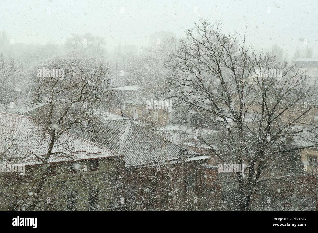 Buildings and trees under falling snow on city street Stock Photo - Alamy