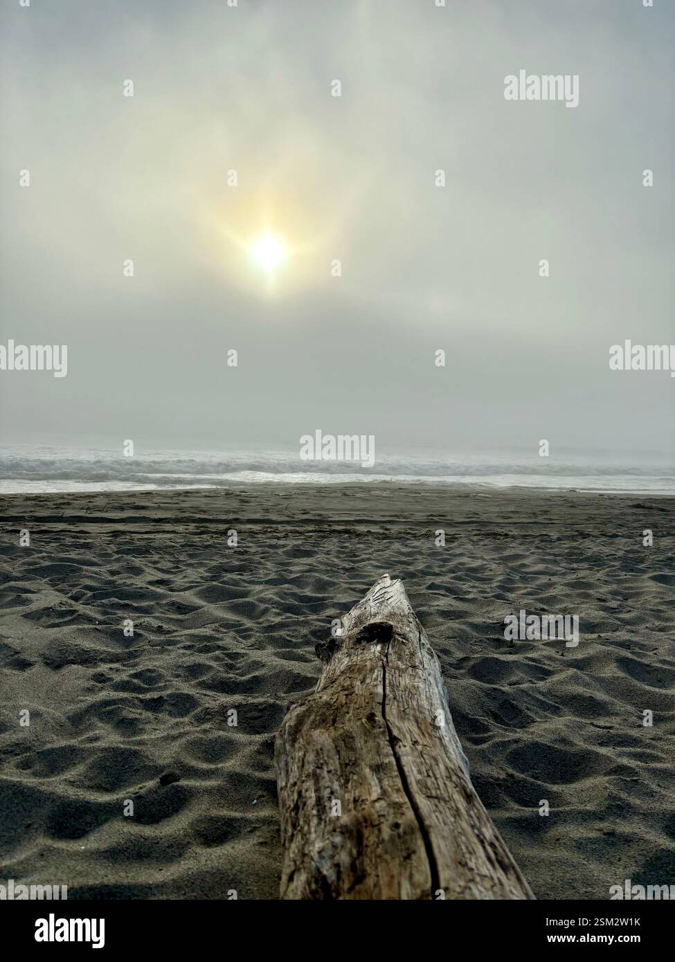 Log sitting on a beach facing the Pacific Ocean on a misty afternoon ...