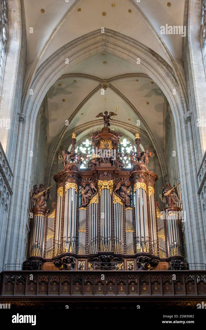 Inside Antwerp's huge Gothic Cathedral of Our Lady - the 1891 organ by ...
