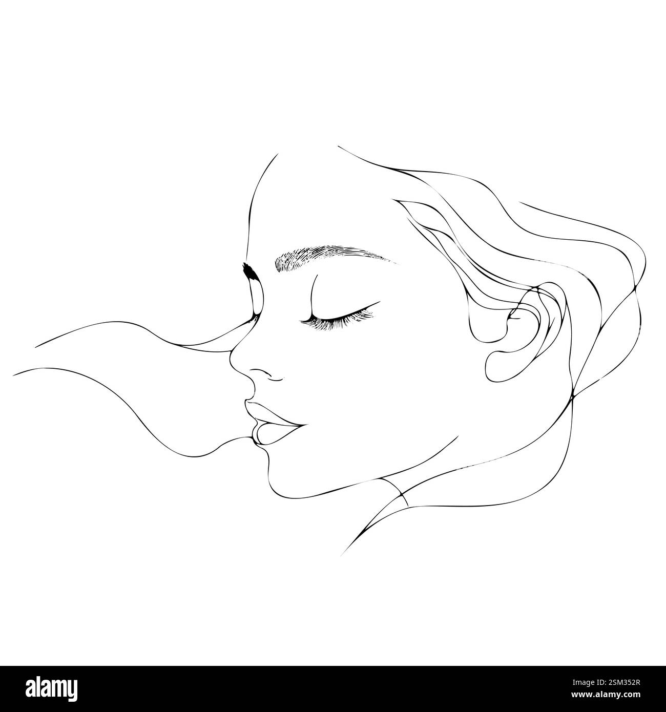 Detailed line art features hi-res stock photography and images - Alamy