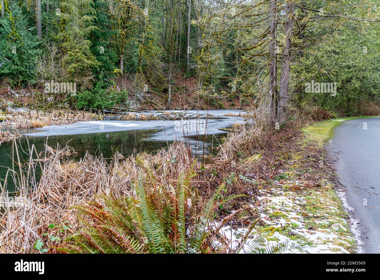 A view of an icy pond at Flaming Geyser State Park in Washington State ...